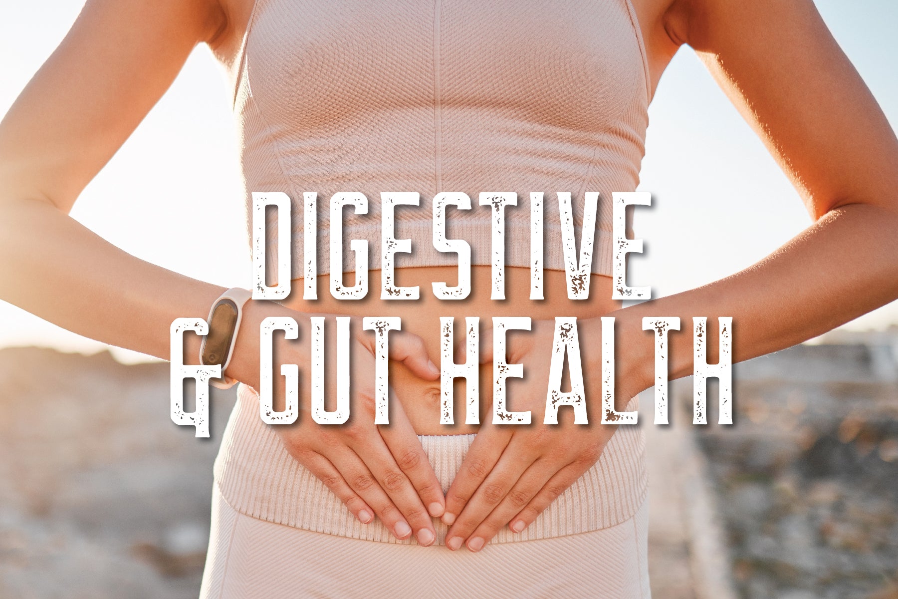 Digestive & Gut Health – Paul's Pharmacy
